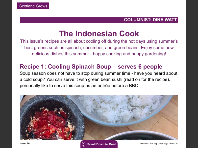 Issue 30The Indonesian Cook