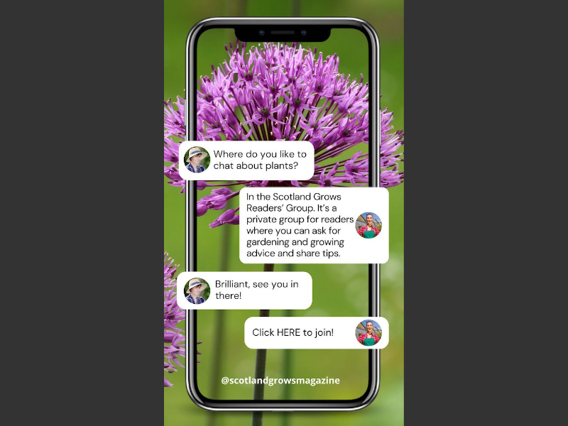 Issue 30Come and Chat About Plants