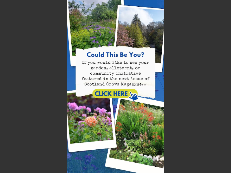 Issue 31Feature Your Garden