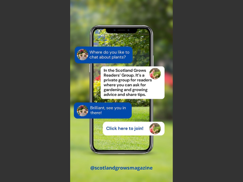 Issue 31Come and Chat About Plants