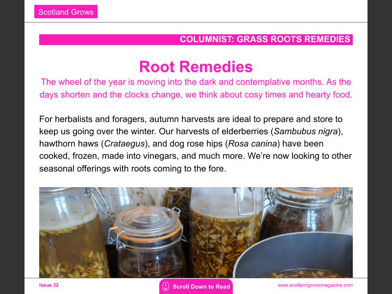 Issue 32Roots Remedies