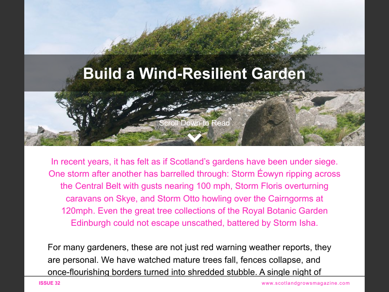 Issue 32Build a Wind-Resilient Garden