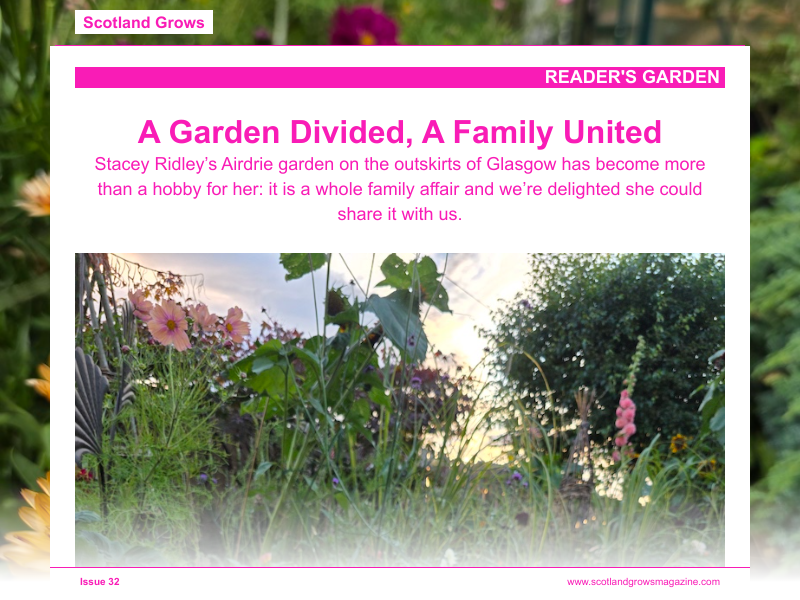 Issue 32A Garden Divided, A Family United