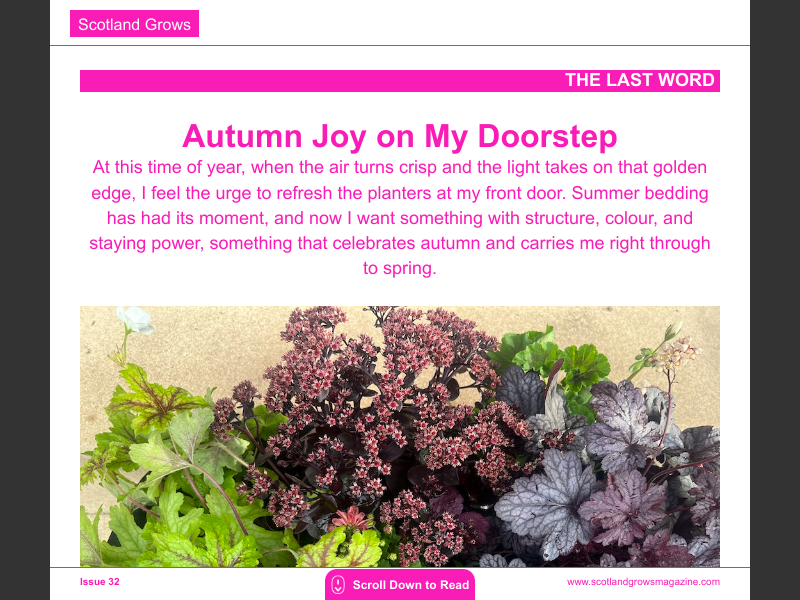 Issue 32Autumn Joy on My Doorstep