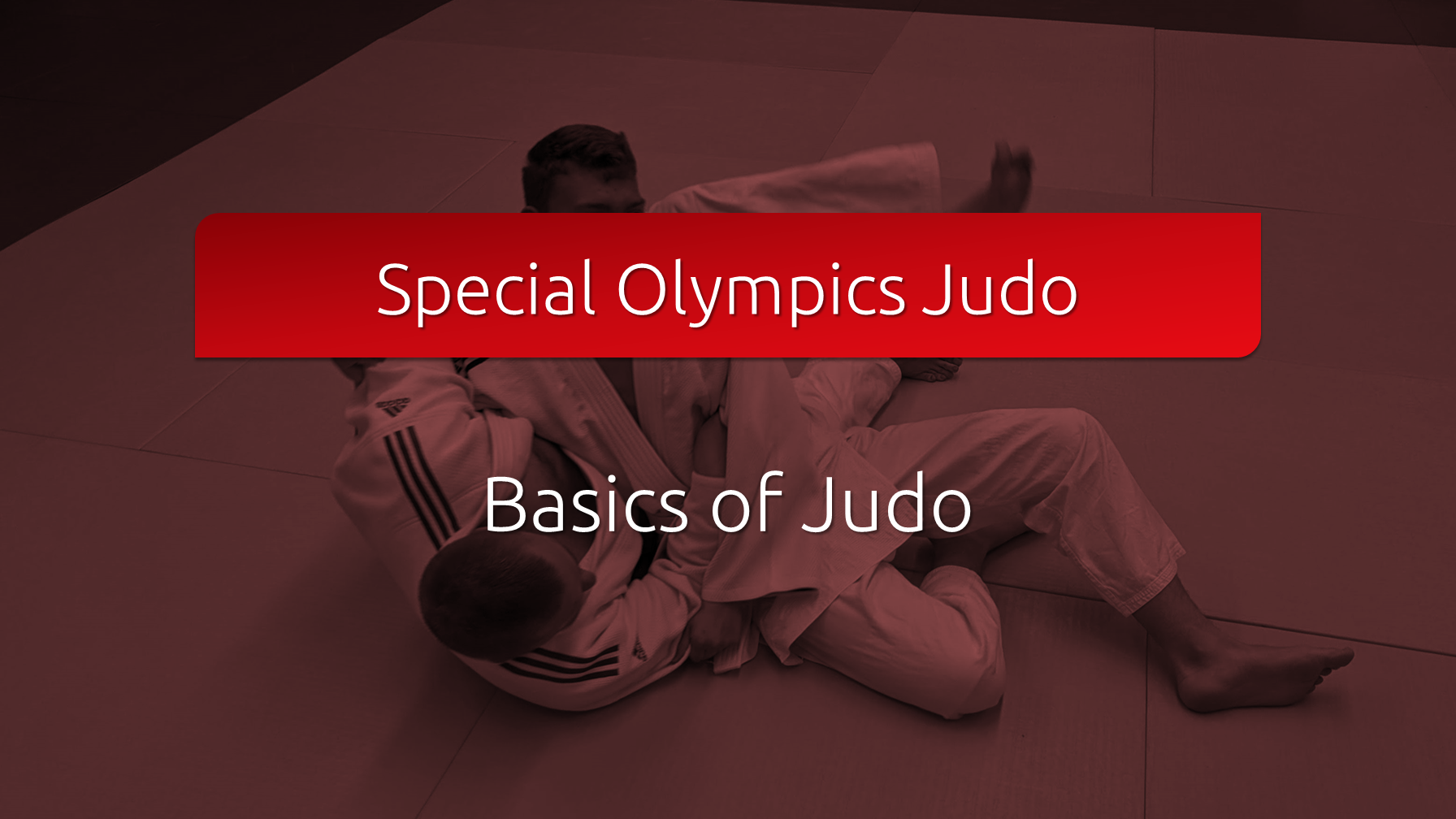 Judo Coaching Guide 2021Basics of Judo