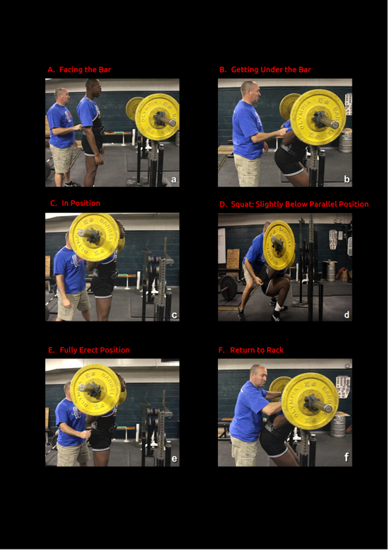 Powerlifting Coaching Guide 2022Glossary of Terms
