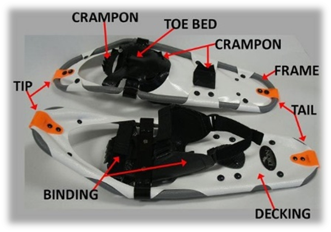 Snowshoeing Coaching Guide 2022Basics of Snowshoeing