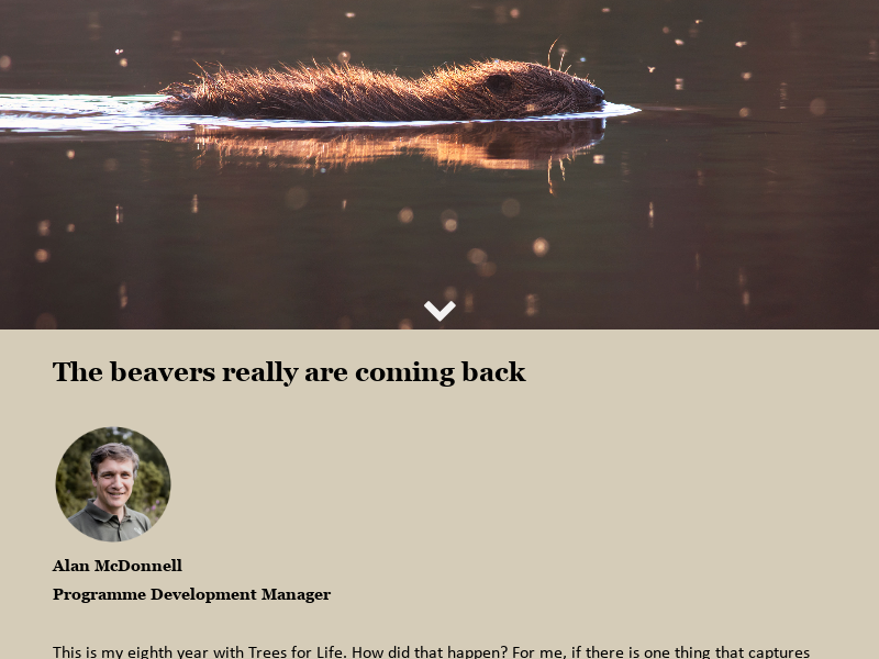 Caledonia Wild Autumn/Winter2023Bringing beavers back