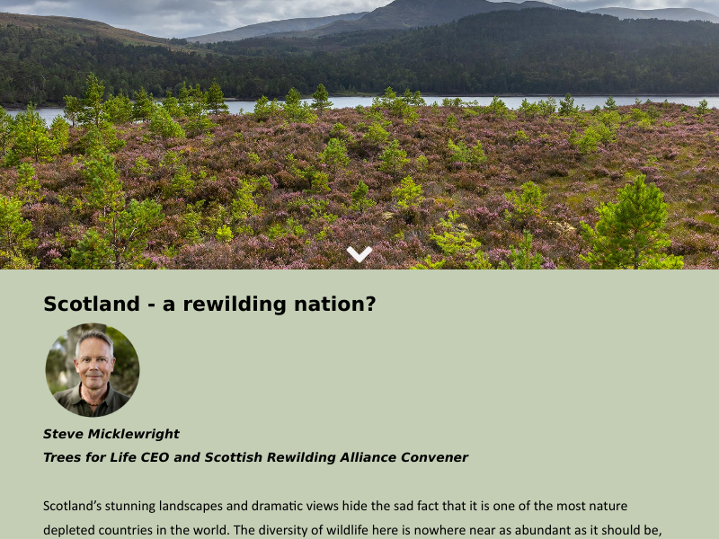 Caledonia Wild Spring/Summer2024Scotland - a rewilding nation?