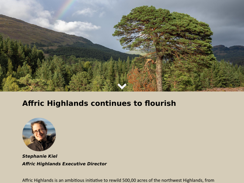 Caledonia Wild Spring/Summer2024Affric Highlands