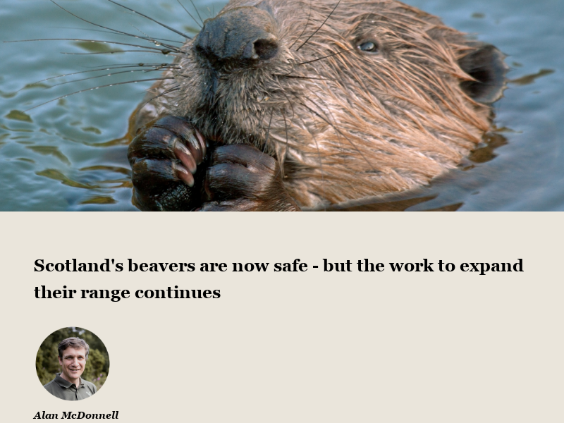 Caledonia Wild Spring/Summer 2022Beaver update