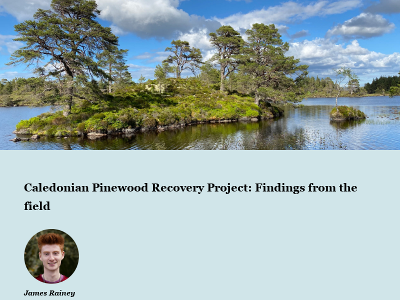 Caledonia Wild Spring/Summer 2022Caledonian Pinewood Recovery: Findings ...