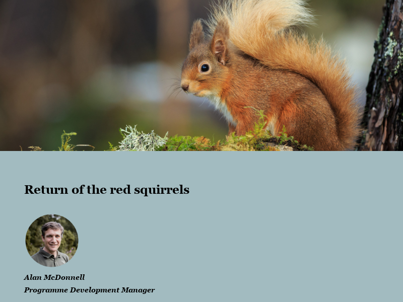 Caledonia Wild Spring/Summer 2022Return of the red squirrels