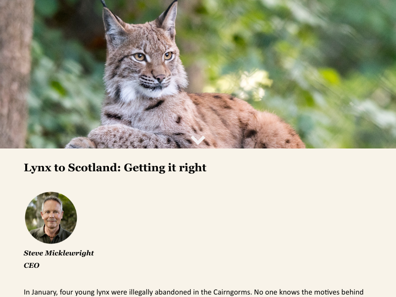 Caledonia Wild Spring / Summer 2025Lynx to Scotland: Getting it right