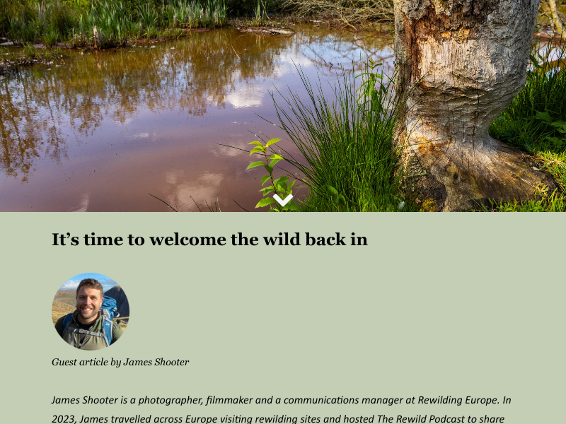 Caledonia Wild Spring / Summer 2025It’s time to welcome the wild back in