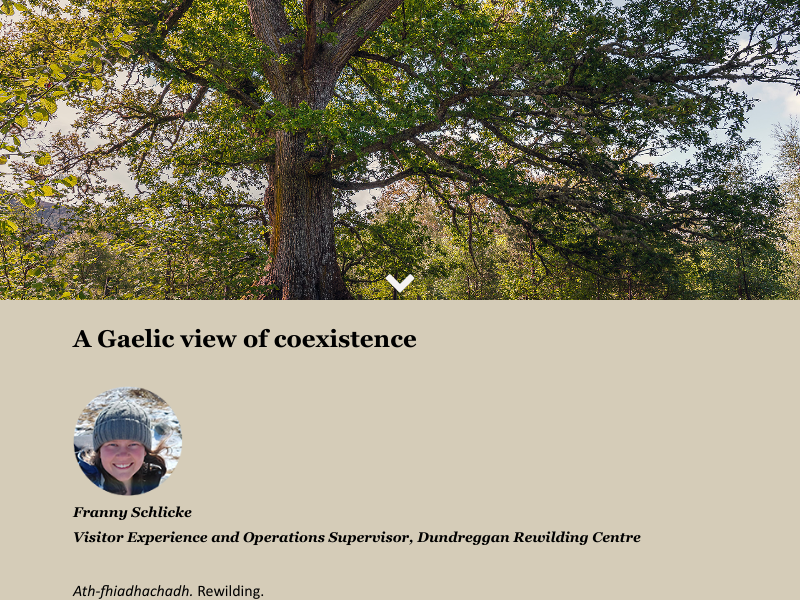 Caledonia Wild Spring / Summer 2025A Gaelic view of coexistence