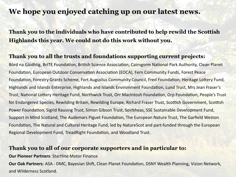 Caledonia Wild Spring / Summer 2025Get in touch