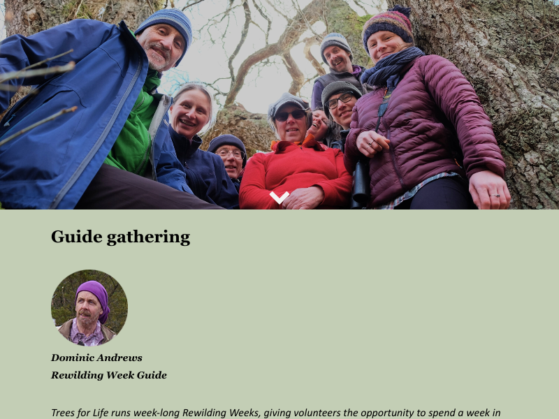 Caledonia Wild Spring / Summer 2025Guide gathering