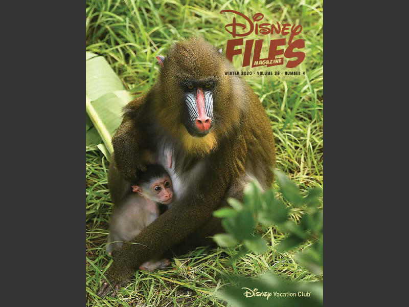 Winter 2020 • Vol. 29 • Number 4