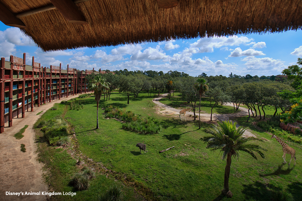 Walt Disney World Resort Digital BrochureDisney Resorts Collection